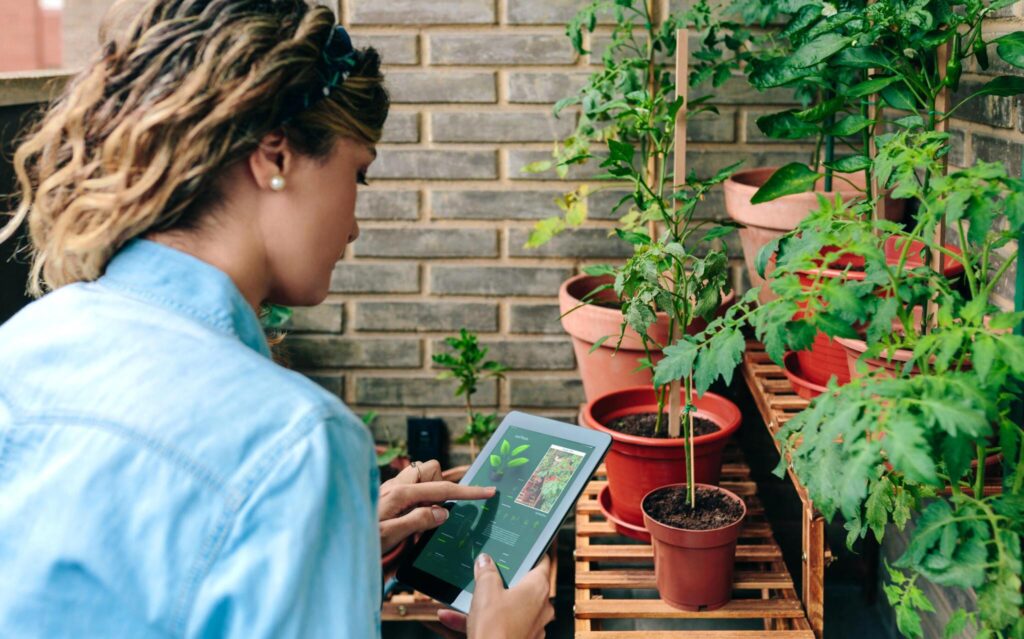 5 Best Plant Identifier Apps for Android in 2025 » PcMobiTech 5 Best Plant Identifier Apps for Android in 2025 » PcMobiTech